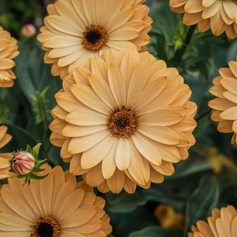 15 Stunning Art Deco Flowers to Bloom Your Style - Fabricerie